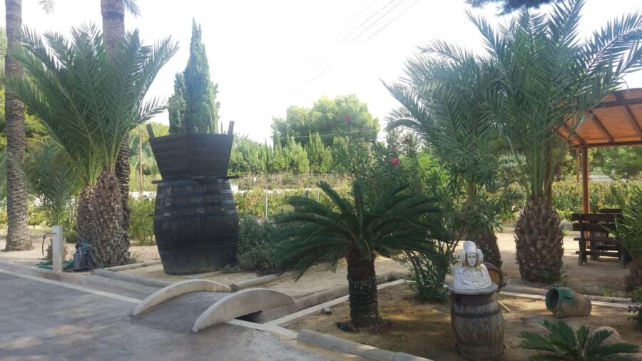 Alicante: Family Winery of Three Generations (4 testings) - Wrap-up: Is It Worth It?