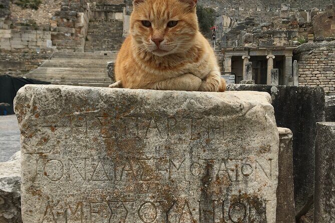 All-nclusive Private Ephesus Tour from zmir cesme Port/Hotels - Transportation and Comfort