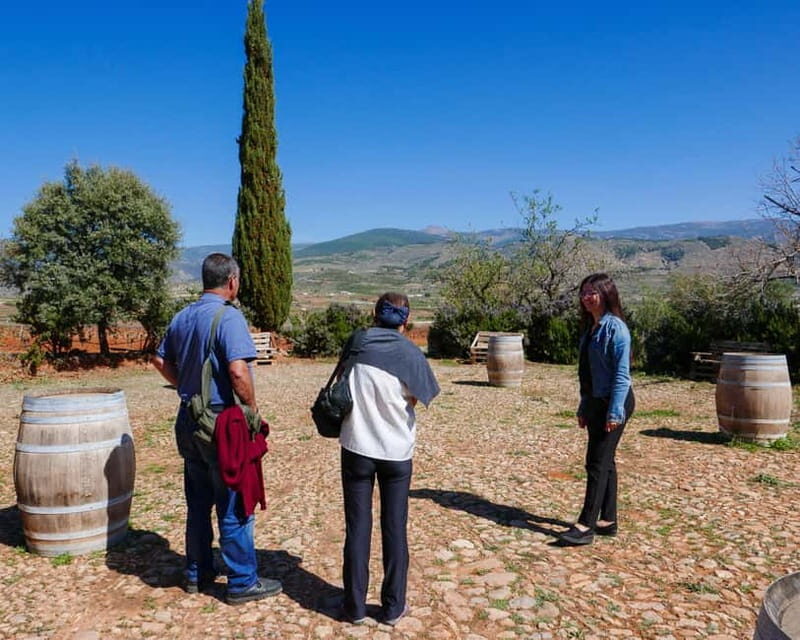 Alpujarra of Almería: Organic Wine tour and local aperitif - How This Tour Offers Value
