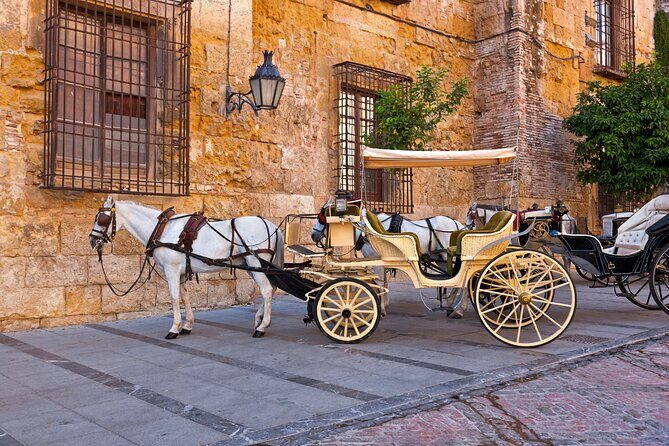 Andalusian Highlights: 6-Day Guided Tour from Madrid - Final Thoughts