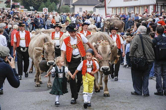 Appenzell and Liechtenstein Tour from Luzern - The Experience: Comfort, Flexibility, and Knowledge