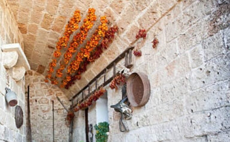 Apulia: Guided Vineyard Tour with Wine Tasting - An In-Depth Look at the Vineyard Tour