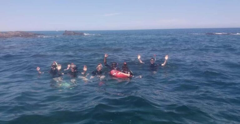 Argelès-sur-Mer: snorkeling into the Marine Natural Park - Exploring the Itinerary in Detail