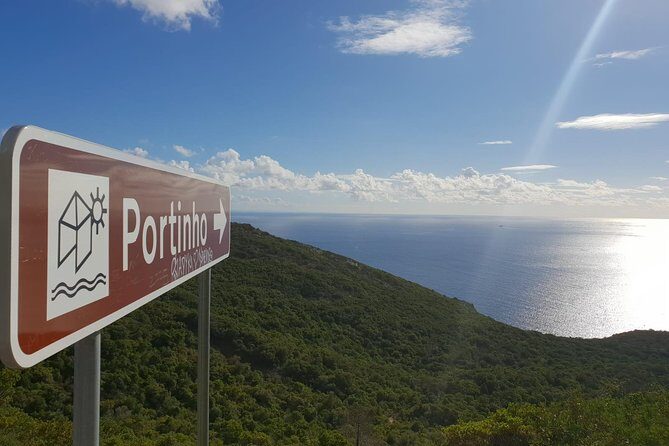 Arrábida, Palmela & SesimbraWine, Tiles & Cristo Rei Experience - Who Will Love This Tour?