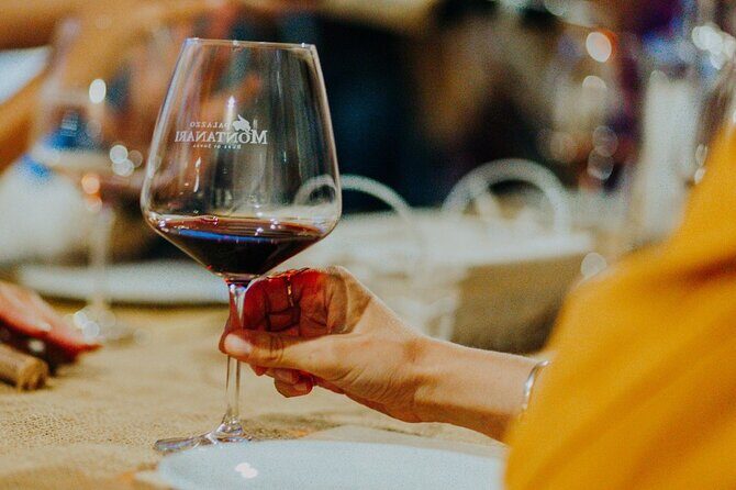 Art & Wine Experience in Valpolicella at Palazzo Montanari - Who Would Love This Tour?