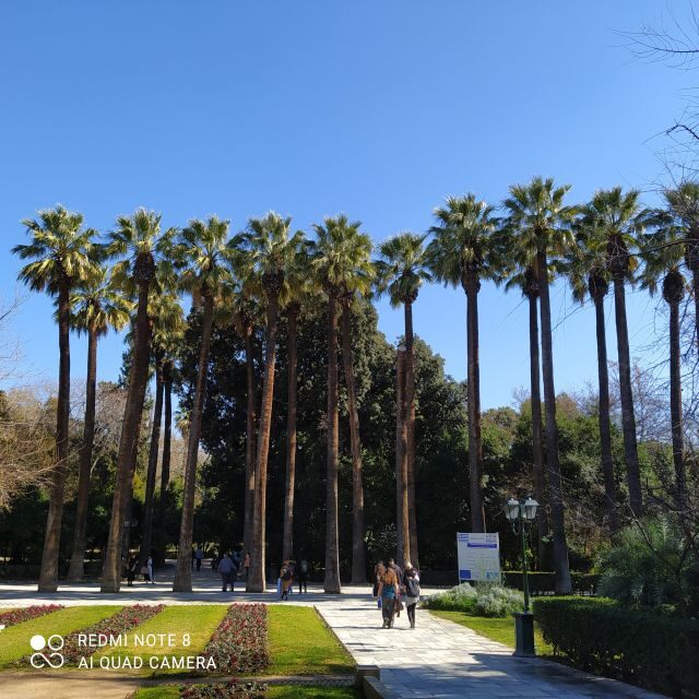 Athens city center walking tour - What Makes This Tour Stand Out?