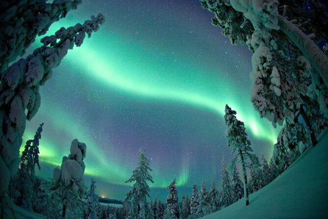 Aurora Photo Experience by Car from Saariselkä - Why This Tour Offers Great Value
