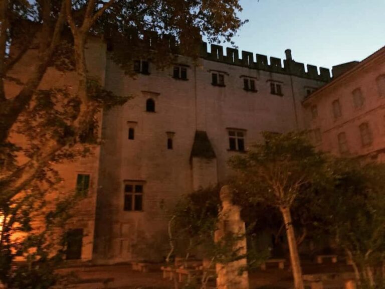 Avignon: La Noctambule du Pape Night Tour - Who Would Love This Tour?