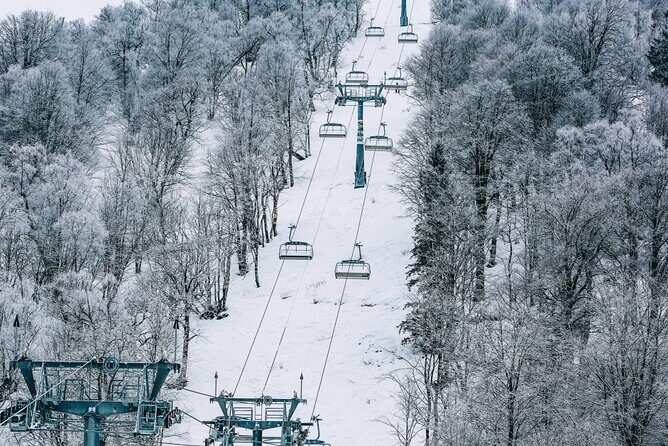 Bakuriani Ski Resort Private Day Tour from Tbilisi Snow Adventure - What Makes This Tour Stand Out?