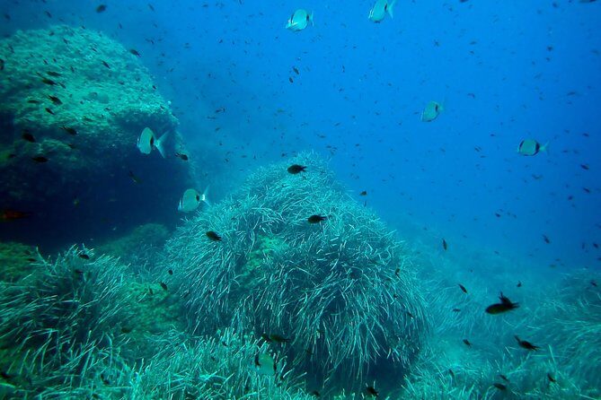 Baptism of diving from boat - The Equipment and Safety Measures