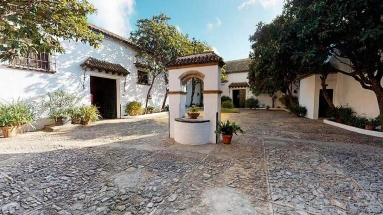 Barbadillo Winery Guided Tour in Cadiz with Wine Tasting - What to Expect from the Tour