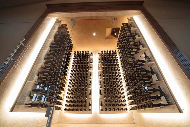 Barolo & CO: visit and tasting - Unique Insights from Reviewers