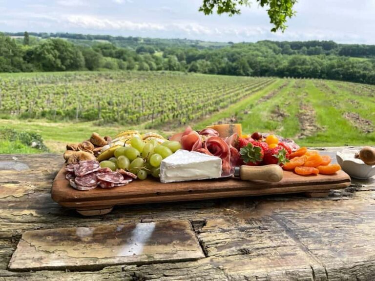 Bergerac: Lunch at Chateau Lestevenie - Discovering Chateau Lestevenie: A Gourmet Escape in Bergerac