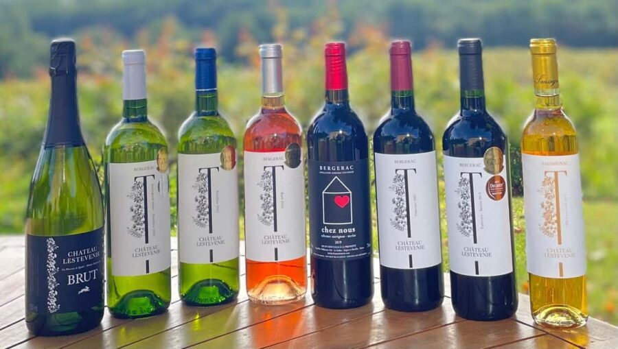 Bergerac: Wine Tasting at Chateau Lestevenie - Who Will Love This Experience?