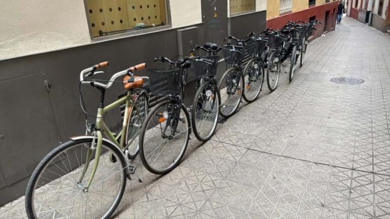Bicycle tour of Seville - Detailed Breakdown of the Itinerary