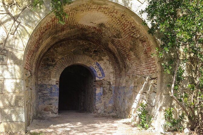 Bike-Nic Half Day Tour to the Bunkers of Monte Enfola - Starting Point: Portoferraio and the Iconic Torre della Linguella