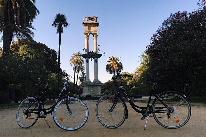 Bike rental day - The Sum Up