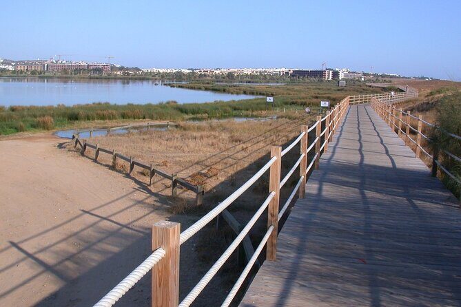Birdwatching Private Tour at Fascinating Salgados Lagoon - Final Thoughts