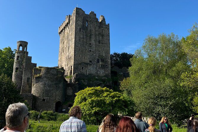Blarney,Cork City,Kinsale,Ultimate Private Guided Minibus Tour. - What We Love About This Tour