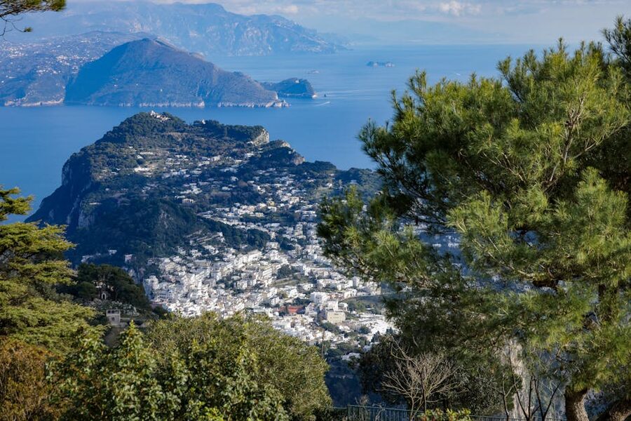 Aerial view of Capri island with greenery and the Mediterranean Sea