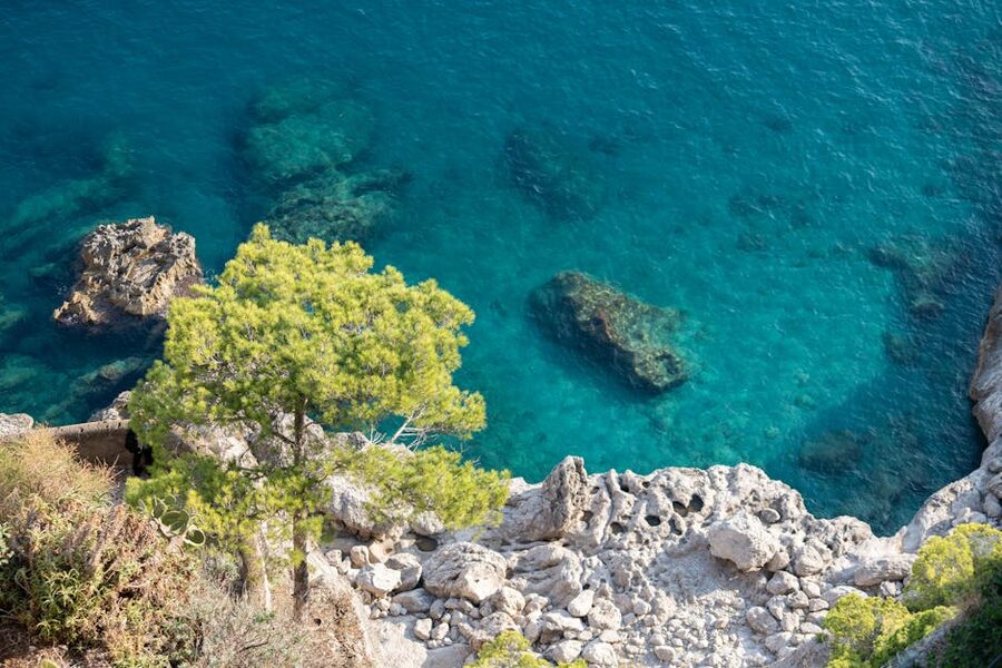 Aerial view of Capri rocky coastline with crystal clear water