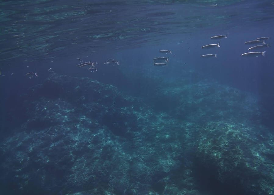 Boat excursion Giardini Naxos Taormina with swimming break - Key Points