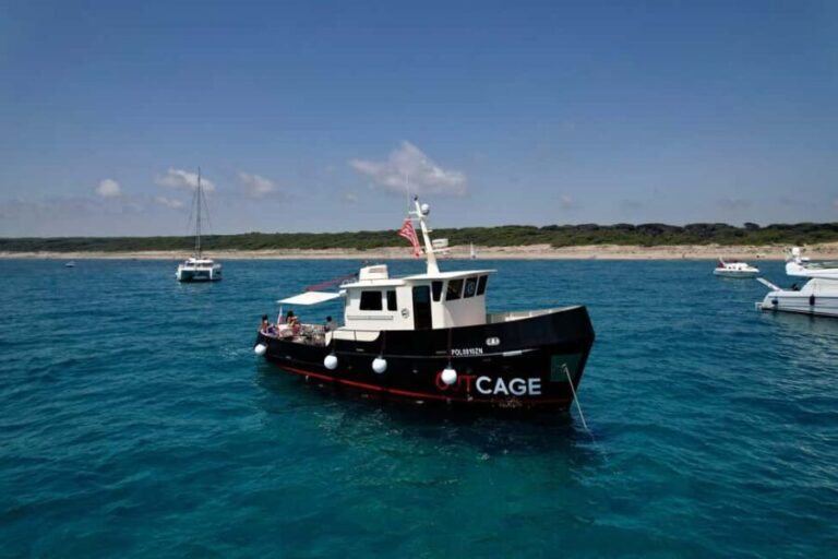 Boat tour Golfo Aranci: Tavolara and Molara Marine Protected Area - The Itinerary and Key Highlights