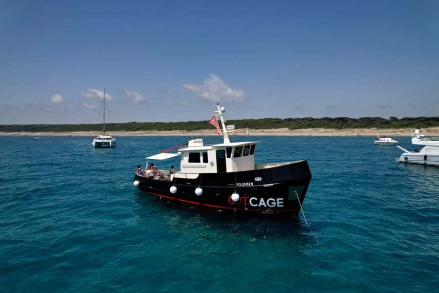 Boat tour Golfo Aranci: Tavolara and Molara Marine Protected Area - The Itinerary and Key Highlights
