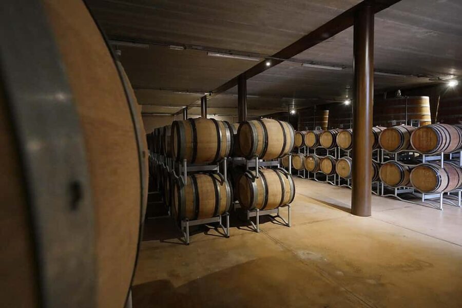 Bolgheri: a guided tour of the winery and a tasting of our wines - Who Will Enjoy This Tour?