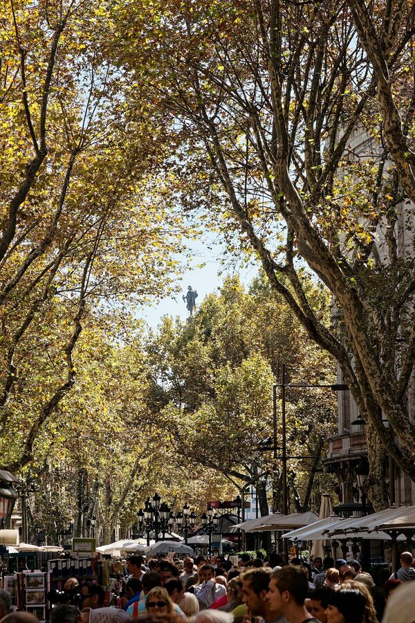 La Rambla Barcelona in autumn afternoon light