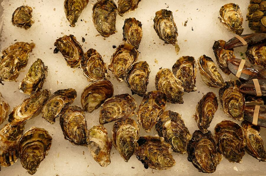 Oysters for sale at a counter inside La Boqueria Barcelona
