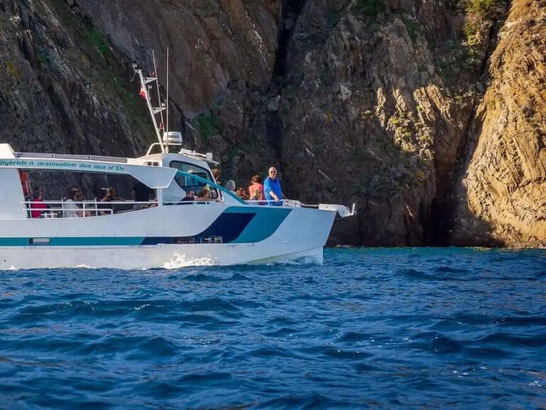 Bormes-les-Mimosas: Hybrid boat trip to the island of Port-Cros - Detailed Breakdown of the Itinerary