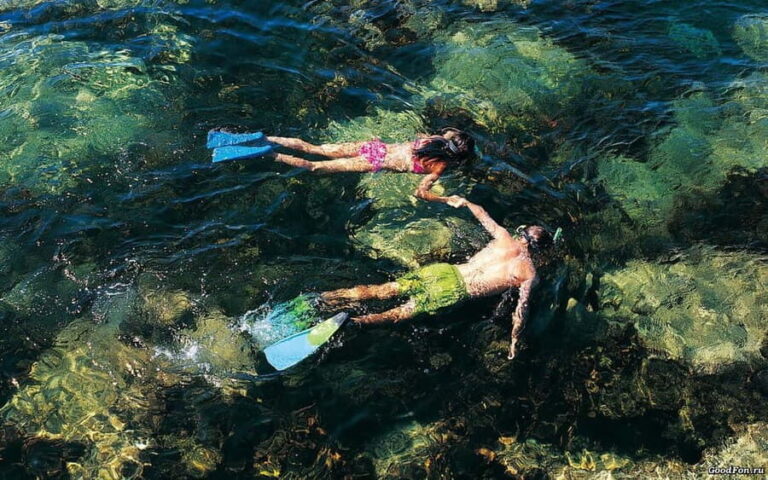 Bormes-les-Mimosas: snorkeling trip - Practical Tips for Your Snorkeling Trip