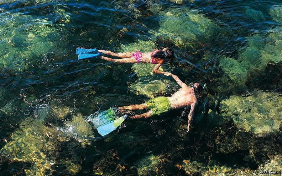 Bormes-les-Mimosas: snorkeling trip - Practical Tips for Your Snorkeling Trip