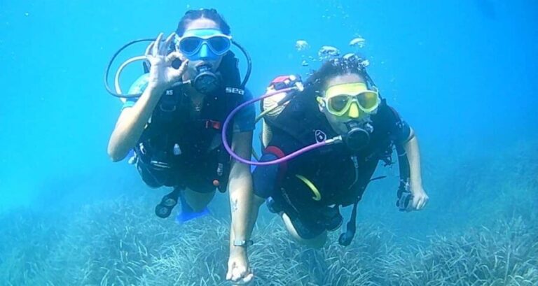 Brindisi: Underwater scuba diving - Discovering Brindisi’s Underwater Charm: What to Expect