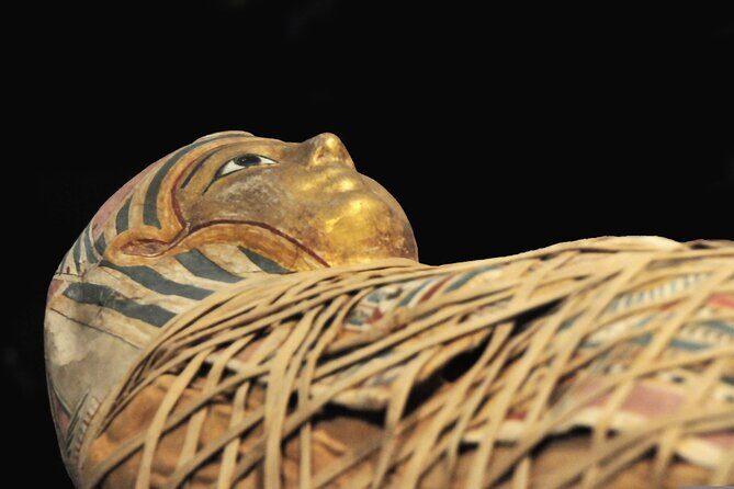 British Museum Tour - Value and Cost Analysis
