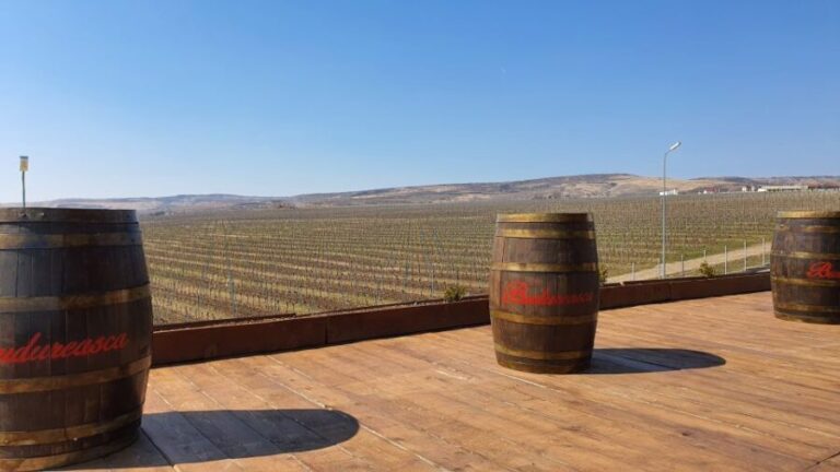 Bucharest: Dealu Mare Winery Private Trip with Wine Tasting - What Do the Wineries Offer?