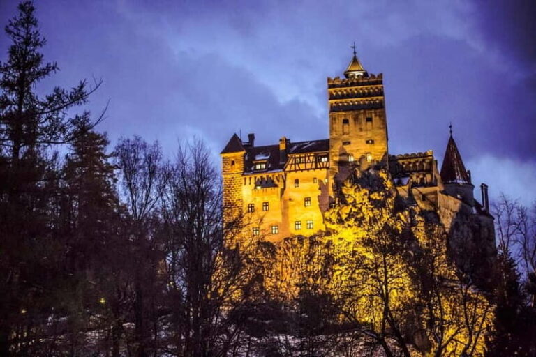 Bucharest: Halloween Party at Bran Castle - Who Will This Tour Suit?