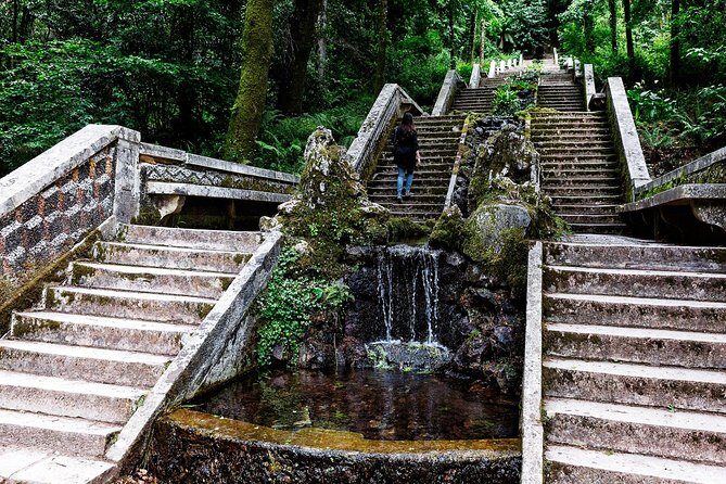 Bussaco Palace, Gardens & Forest | Private Tour - Why This Tour Is a Great Choice