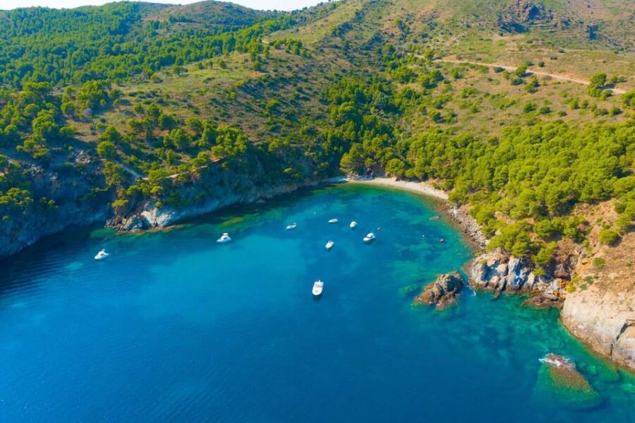 Cadaqués & Underwater Vision: Magic on the Costa Brava - Underwater Vision: Close Encounters with Marine Life