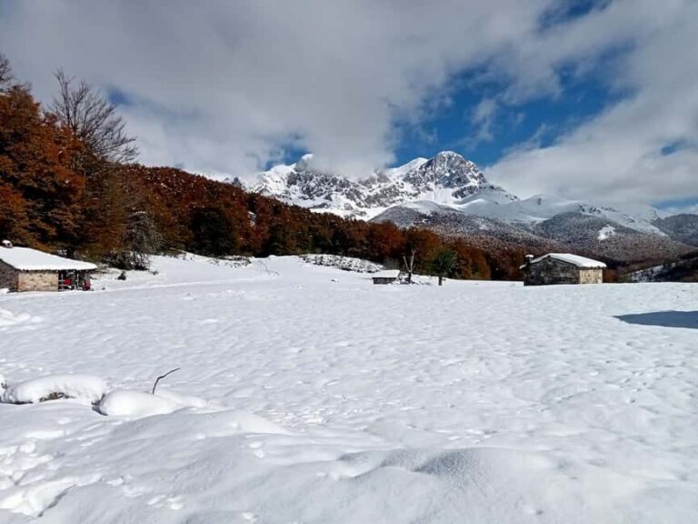 Cangas de Onís: Route in the Vegabaño Forest with lunch at a mountain refuge - FAQ