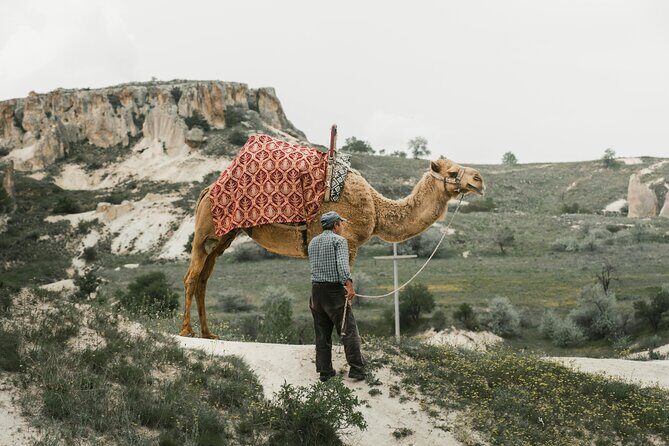Cappadocia Camel Ride Experience with Hotel Pickup - What to Expect from the Camel Ride Experience
