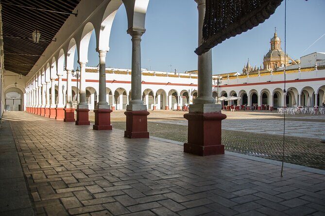 Carmona Roman Necropolis and History Walking Tour - The Experience of a Guided Walking Tour
