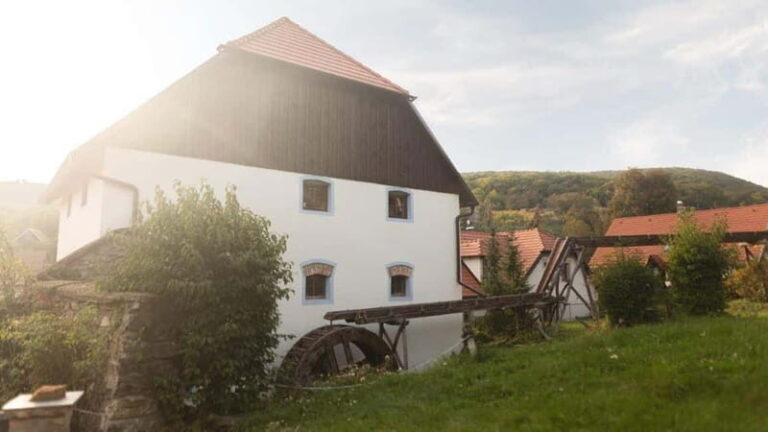 Carpathian Wine tasting tour + Red Stone Castle (Bratislava) - Why This Tour Works for Different Travelers