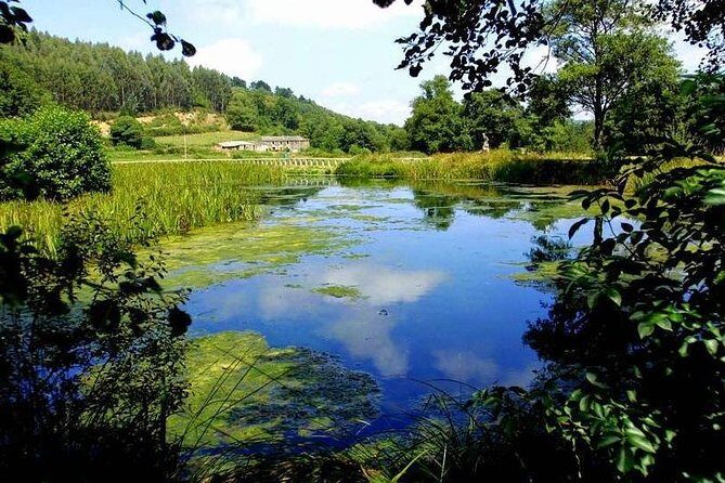 Castro De Viladonga And Birth Of The Miño River From Lugo - What Reviewers Enjoyed Most