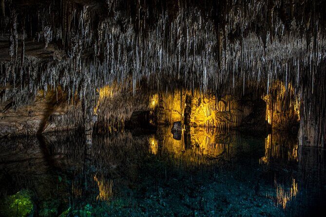 Caves Drach Tour & Return Transfer from Cala Dor-Calas Mallorca - The Live Music Concert