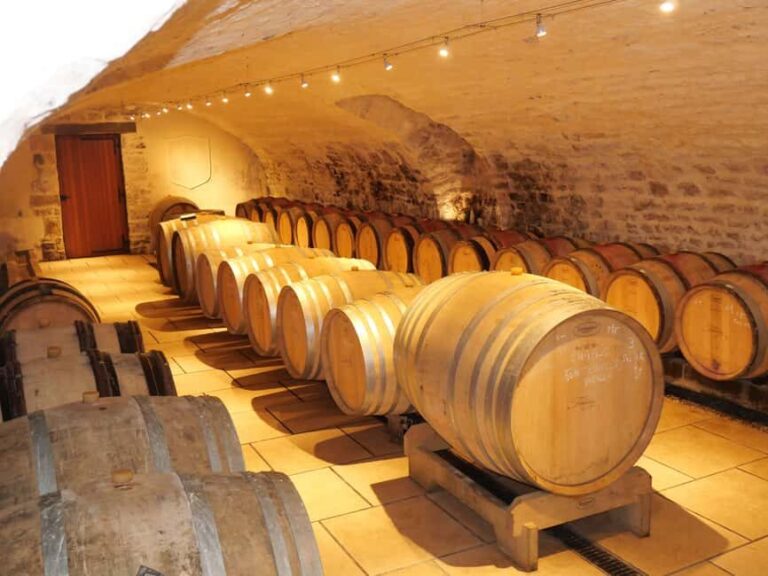 Chablis: Tour and tasting Family-run winery - Exploring the Chablis Tour and Tasting at Domaine Fourrey