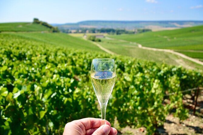Champagne Tour from Paris with Sommelier and Premium Wineries - Who Is This Tour Best For?