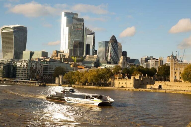 Changing of Guards, Tower of London, Beefeaters & Cruise - Practical Details and Logistics