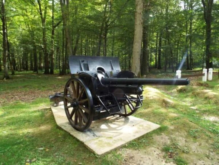 Château-Thierry: Belleau Wood & the 2nd Battle of the Marne - Why This Tour Is Worth It